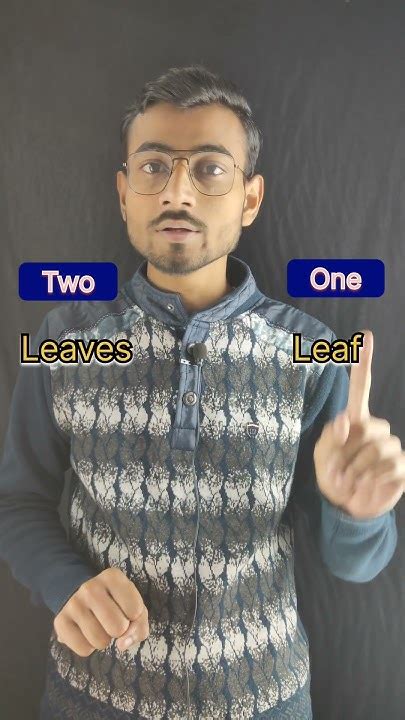 Difference Between Singular And Plural English Short Youtube