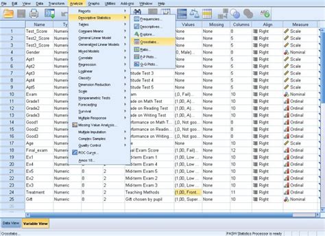 Ibm Spss Statistics 300 Download For Pc Free