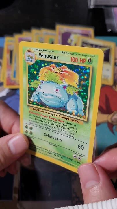 Venusaur Appreciation Post Youtube