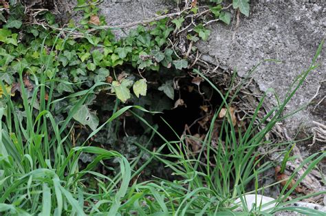 Assignment1all Flickr