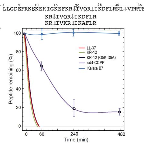 Proteolytic Stability Of Cyclic Peptides In Relevant Biological