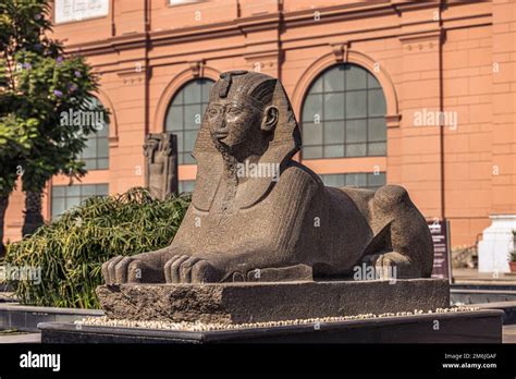 Cairo Egypt November 13 2021 Sphynx Statue At The Cairo Museum In