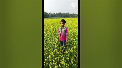 Beautiful Sarisha Khat Reels Shortvideo Tiktok Sweet Rupu 🌼🌼🌻🌻 ️ ️ Youtube