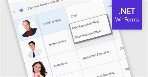 Optimize Data Input In Net Winforms Grids