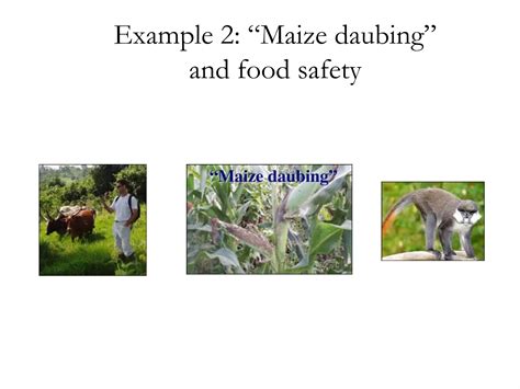 Discovering Novel Pathways Of Cross Species Pathogen Transmission Pdf