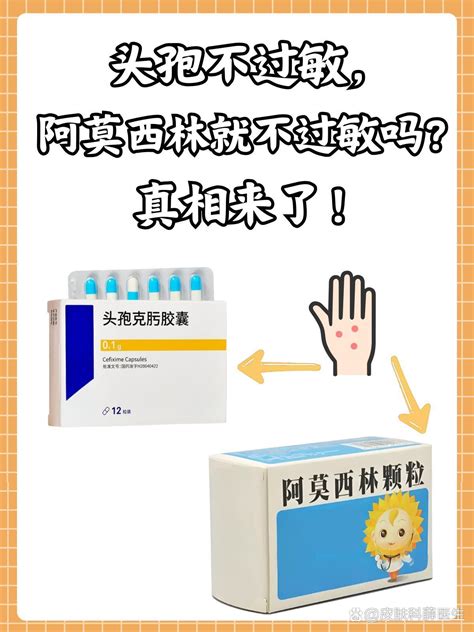 头孢不过敏，阿莫西林就不过敏吗？