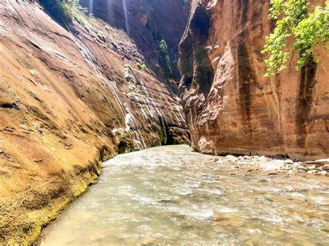 Zion Narrows Hiking Guide For Beginners Zion National Park — Hiking