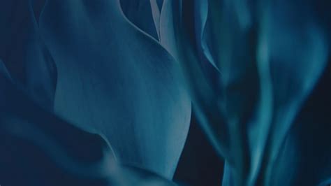 Tom Platts Named In Albs Super 50 Tmt List Stephenson Harwood