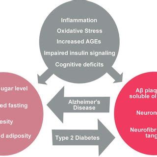 Pdf Type 2 Diabetes Mellitus In The Pathophysiology Of Alzheimers