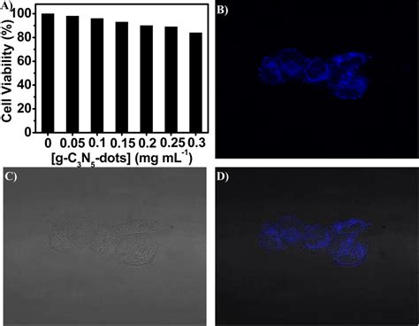 A Cell Viability Assay Of C3n5 Dots At Different Concentrations B Download Scientific