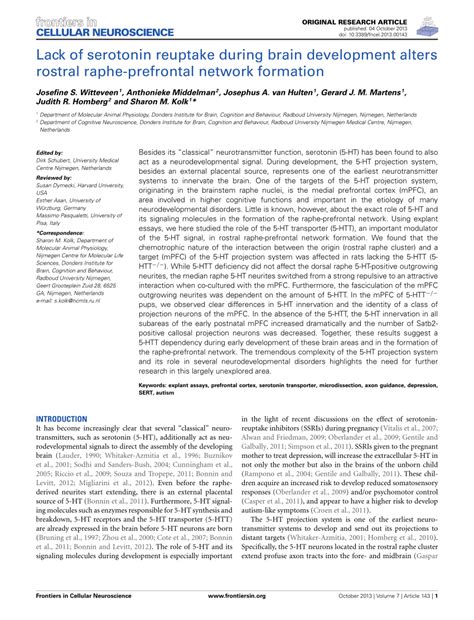 Pdf Lack Of Serotonin Reuptake During Brain Development Alters