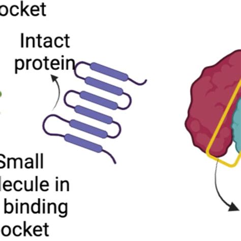 Representation Of A Protein With Binding Pockets Cavities And Proteins