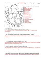 Key Of Heartdissectionlab 2020 2021 Sheep Heart Dissection Lab