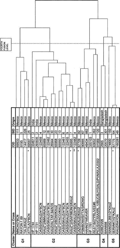 Dendrogram Of The Cumulative Cluster Analysis Of Genotypes The Most