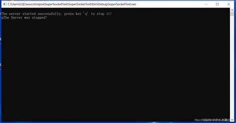 C Supersocket 傻瓜教程 Csdn博客