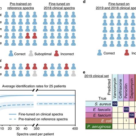 A Convolutional Neural Network Cnn Can Be Used To Identify Bacteria Download Scientific