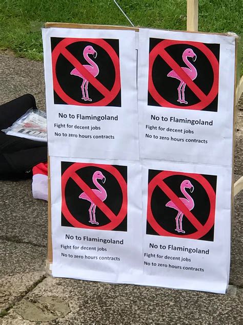 Flamingo Protest The Democrat