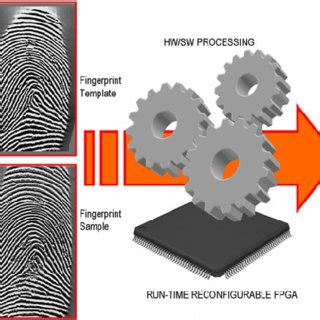 Fingerprint Recognition Computation In A Run Time Reconfigurable FPGA Download Scientific