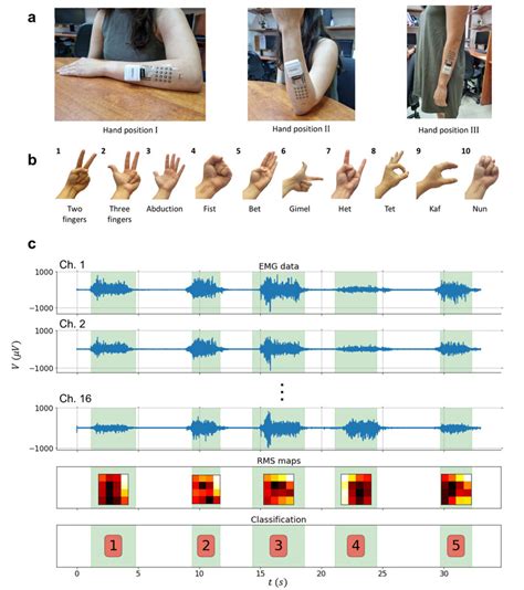 Data Collection And Analysis Scheme A The 3 Hand Positions Examined