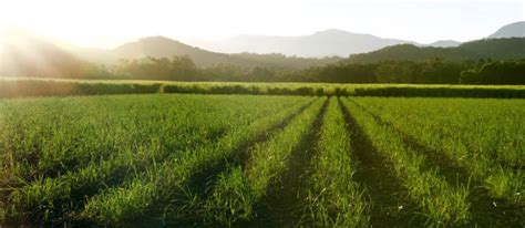 Global Reach Local Knowledge Um Group