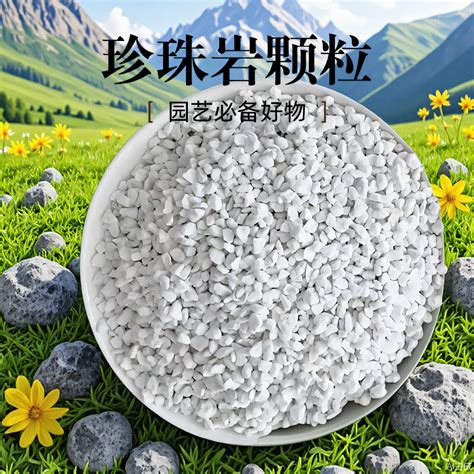 珍珠岩颗粒养花用膨胀硬质珍珠岩多肉至蛭石园艺兰花专用营养土 虎窝淘