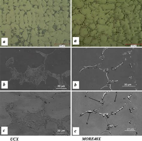 1 Microstructure Of Originals As Cast Alloys A Optical Micrograph Download Scientific