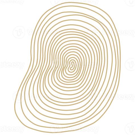 Line Art Background 28071153 Png