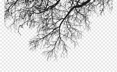 Branch Computer Icons Natural Leaf Branch Landscape Png PNGWing