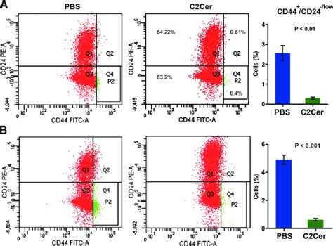 Autophagy Decreases Cd44 C Cd24 À Low Cell Subpopulation Flow Download Scientific Diagram