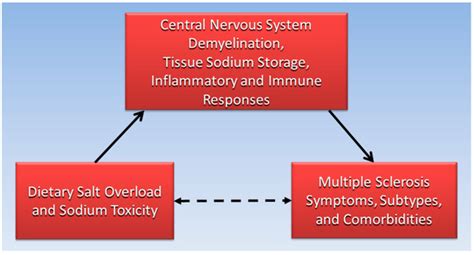Sclerosis An Open Access Journal From Mdpi