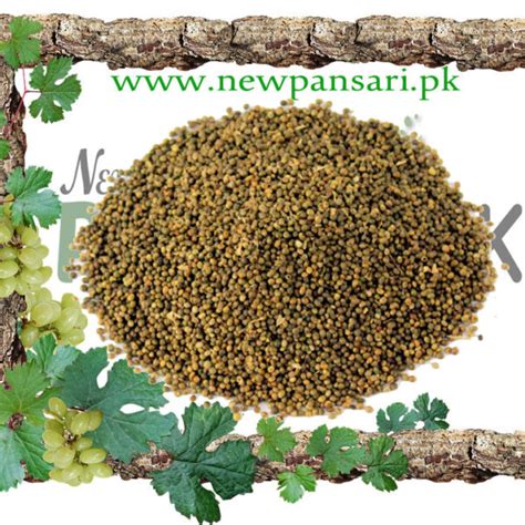 Common Fumitory Shahtra New Pansari