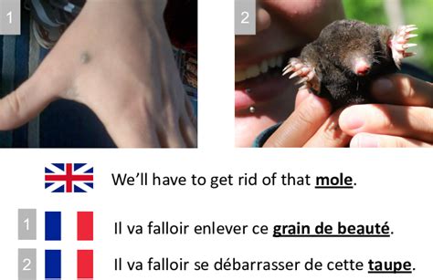 Example From Commute The Correct Translation Of The Sentence In