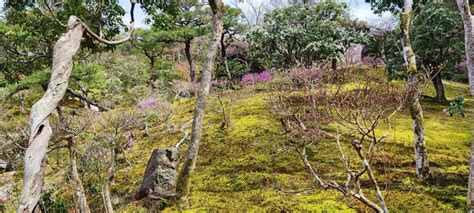 Isui En Garden A Masterpiece Of Japanese Garden Design