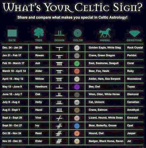 Celtic Sign Celtic Code Celtic Astrology Chart Celtic Zodiac Chart