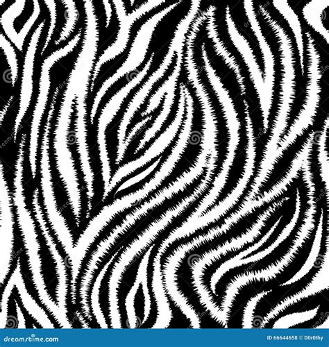 Zebra Stripes Seamless Pattern Stock Vector Illustration Of Fauna