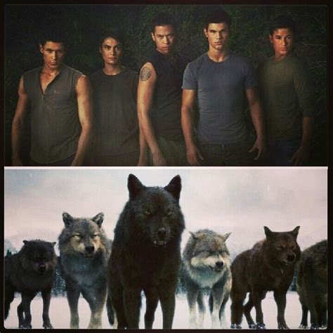 Pin By Jeremy Wright On All Things Halloween Twilight Wolf Twilight