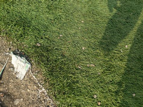 Video Residents Lament Indefinite Closure Of Agege Stadium As Renovations Stalls For Over 3