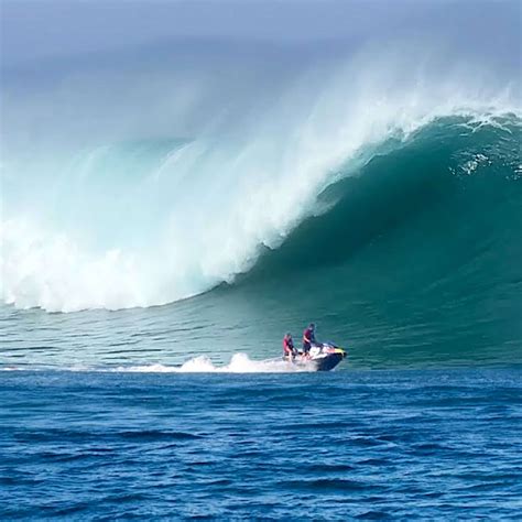 How Laura Crane Prepared Herself To Surf Nazaré Surfer