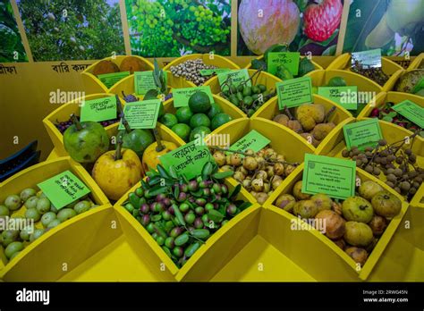 Different Types Of Fruits On Display At The National Fruits Festival Organized By Ministry Of
