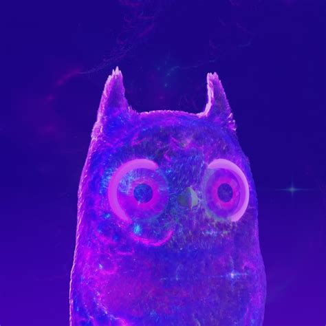 Cstn Profile Opensea