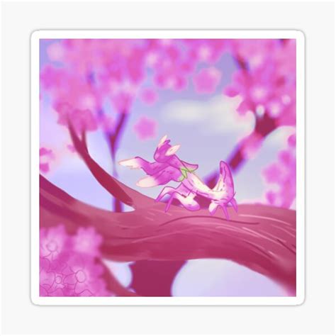 Orchid Mantis Sticker By Bugbytes Redbubble