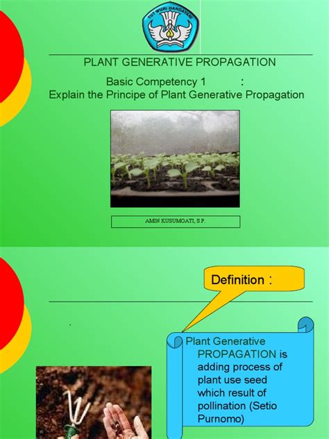 Plant Generative Propagation Basic Competency 1 Explain The Principe