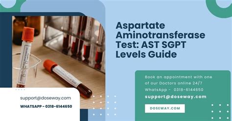 Aspartate Aminotransferase Test Ast Sgpt Levels Guide
