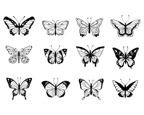 Conjunto De 12 Borboletas Vetor Premium