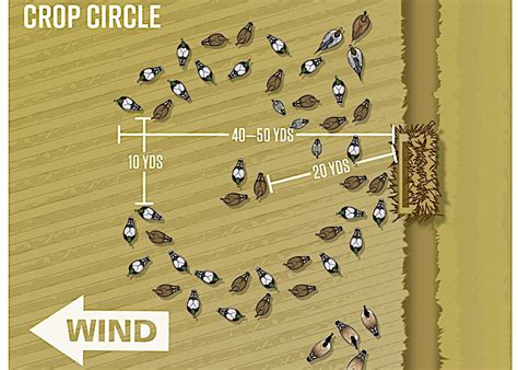 Duck And Goose Decoy Spreads On Water At Della Gonzales Blog