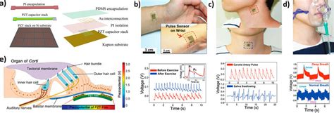A Pzt Capacitor Stacks Fabricated On Si Wafer And Encapsulate With