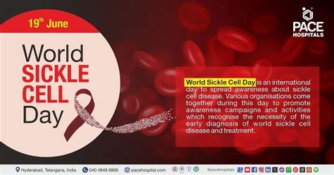 World Sickle Cell Day 2025 Theme Importance And History