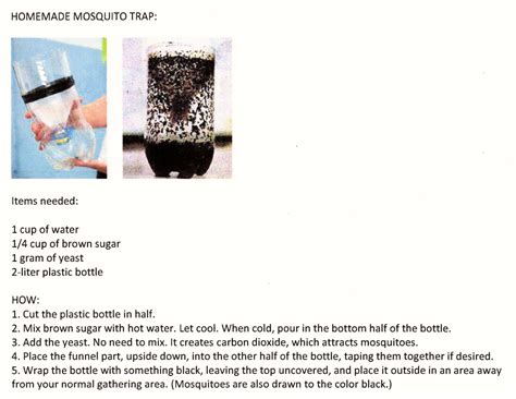 Homemade Mosquito Trap