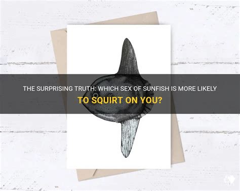 The Surprising Truth Which Sex Of Sunfish Is More Likely To Squirt On