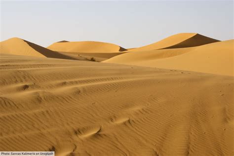 The Desert Biome Facts Characteristics Types Of Desert Life In Deserts